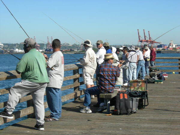 What Size Rod and Reel for Pier Fishing? A Complete Guide